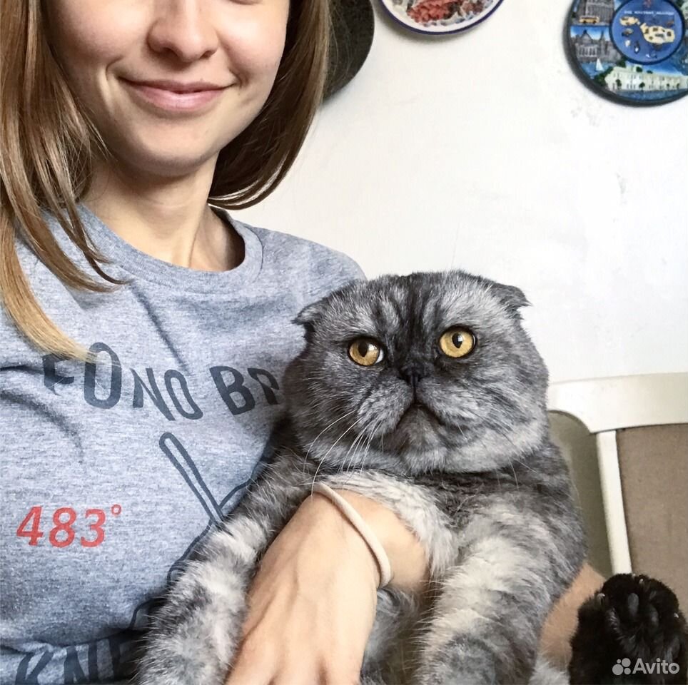 Вязка с лучшим котом на свете
