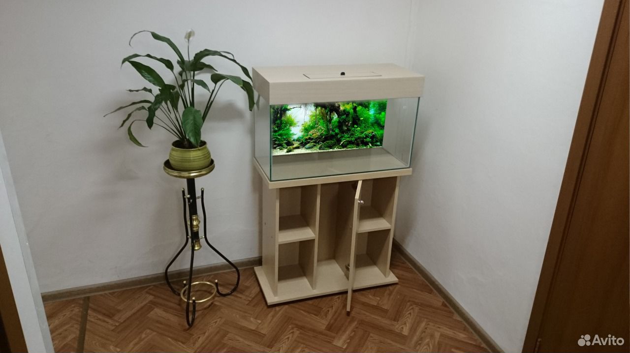Аквариумы и ёмкости для рыбок, тумбы, оборудование