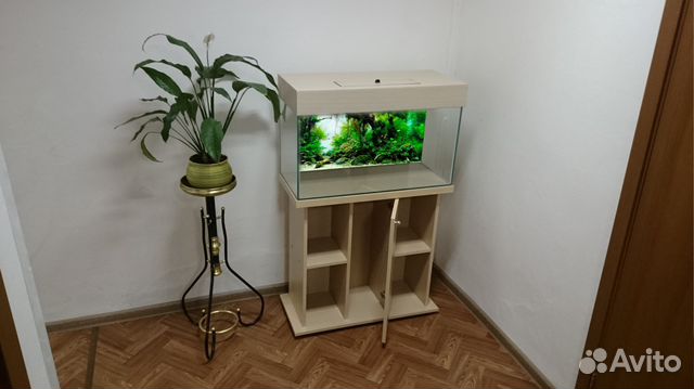 Аквариумы и ёмкости для рыбок, тумбы, оборудование