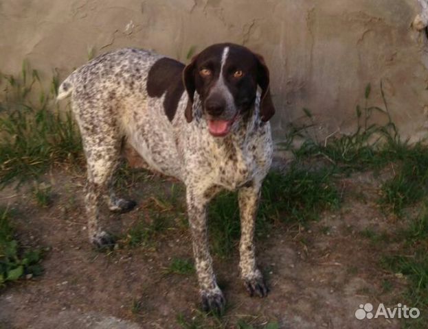 Ищет дом шикарная девочка Сальма