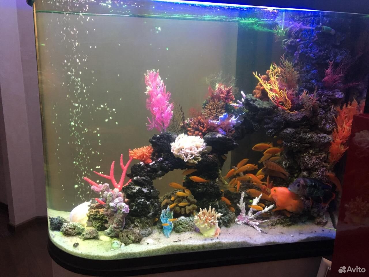 Аквариум 900 л