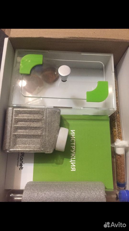 Набор мирмикипера