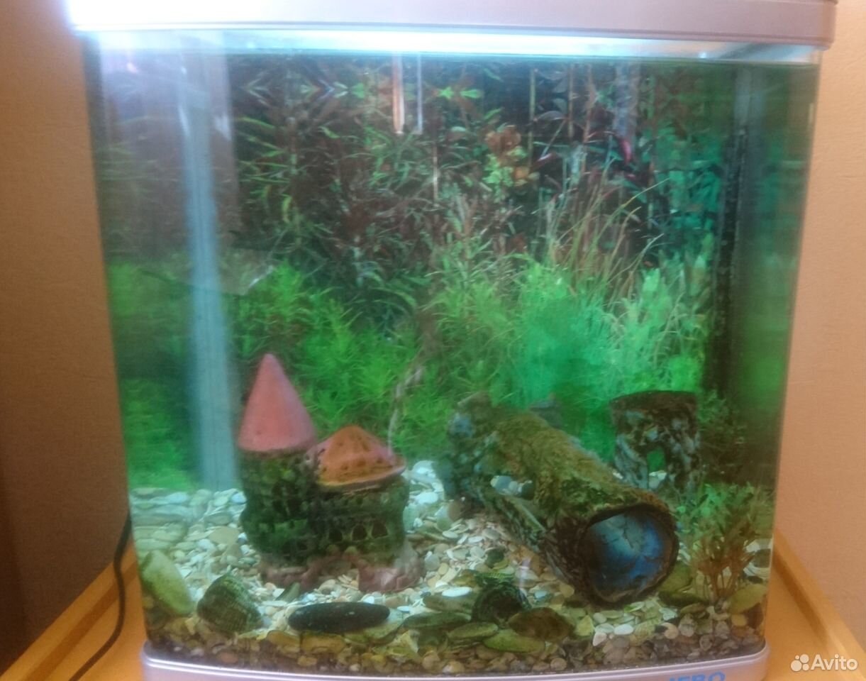 Аквариум