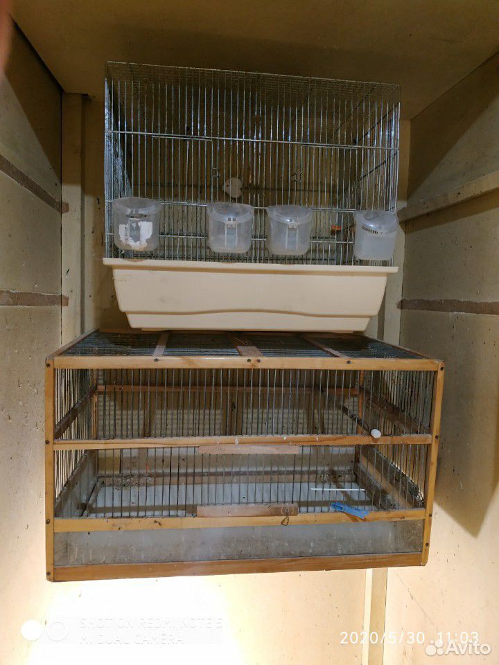 Клетки и кармушки для кенаров и попугаев