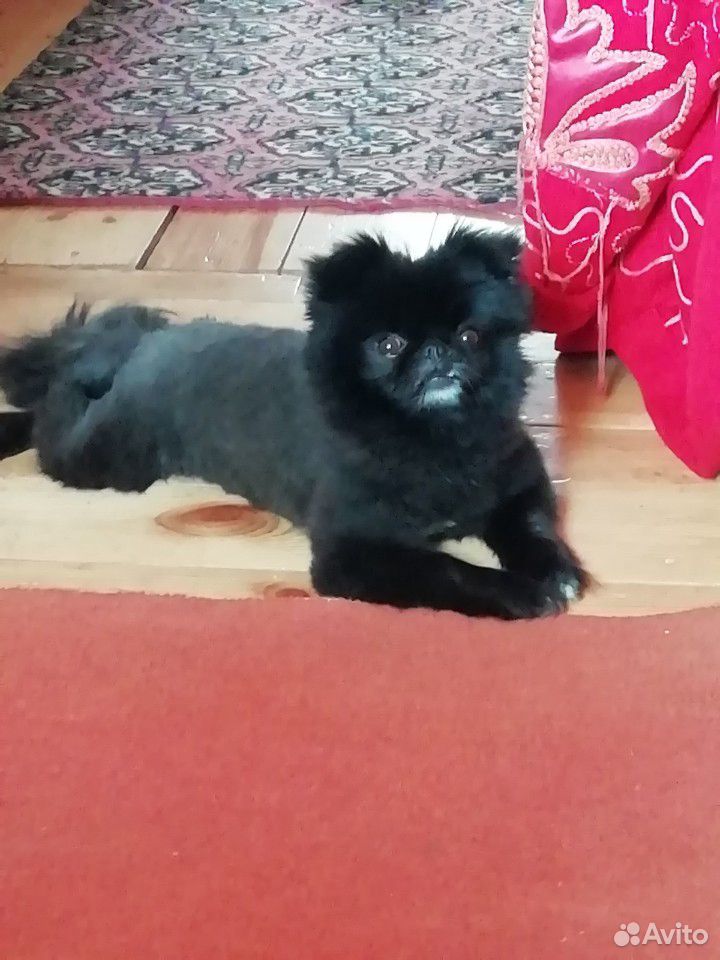 Ищем невесту