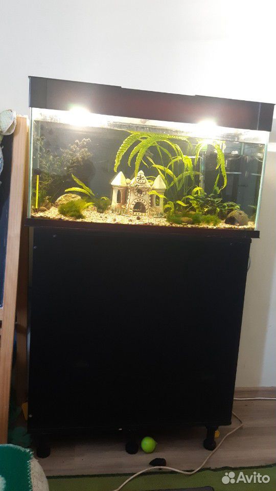 Аквариум
