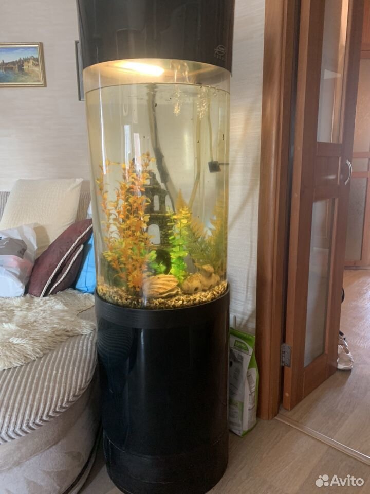 Аквариум