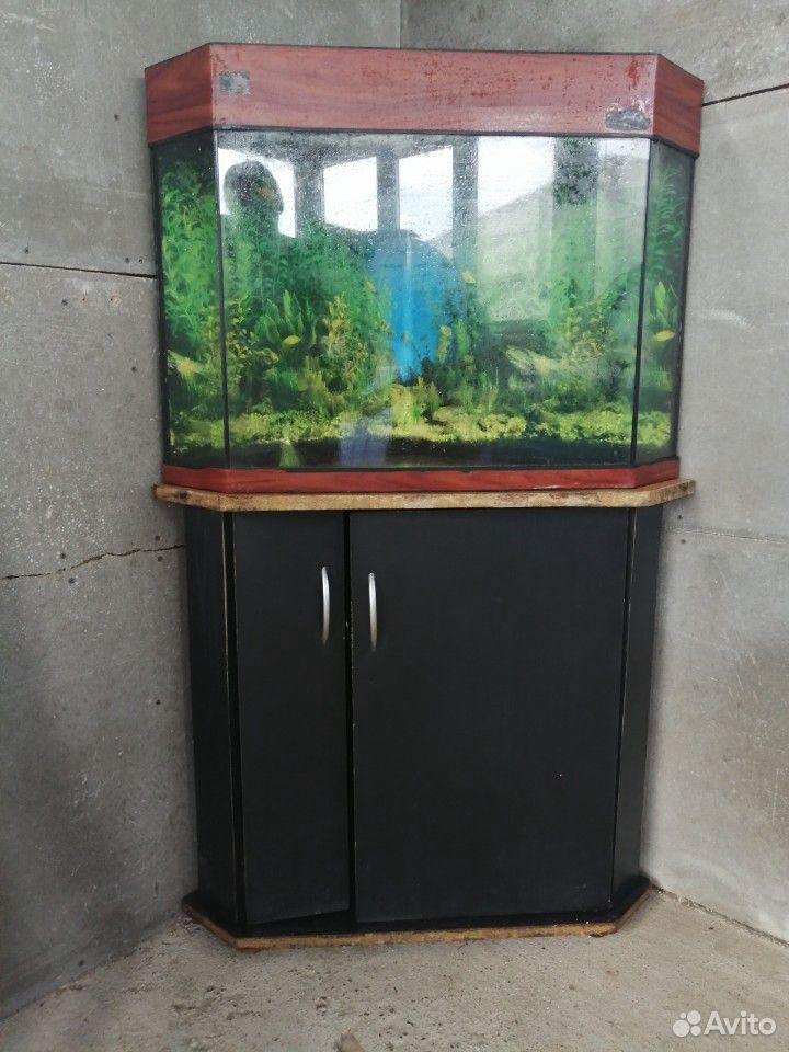 Угловой аквариум 125л
