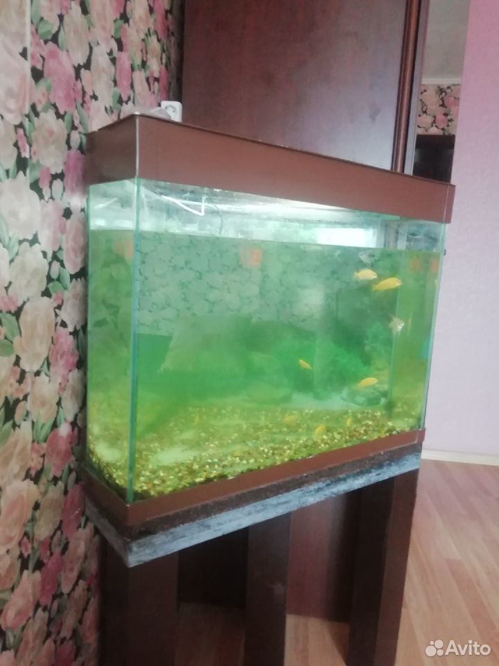 Аквариум 140 л