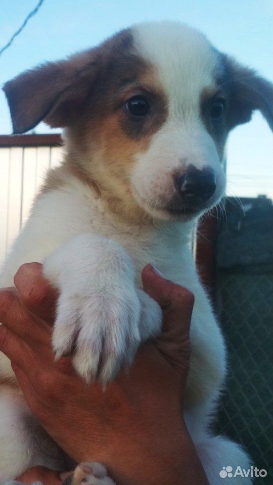 Малыш 2 месяца