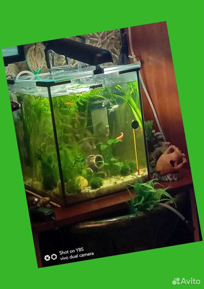 Аквариум акваэль 20 литров