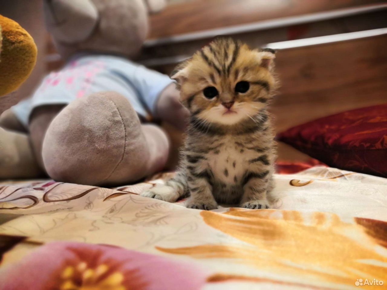 Британская