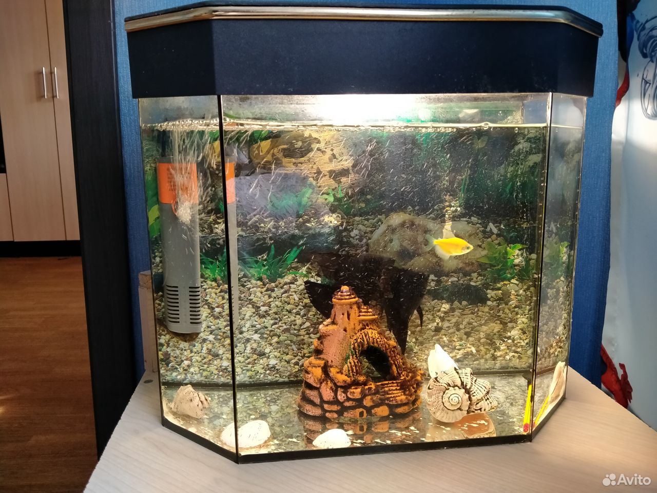 Аквариум с рыбками