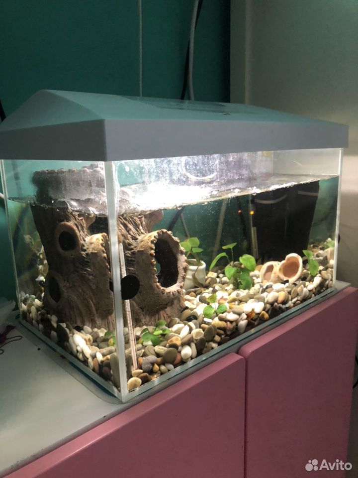 Аквариум aquael leddy pap 40