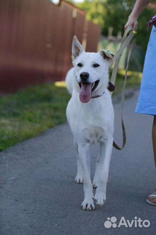 Шикарный белоснежный парнишка Вайт ищет семью