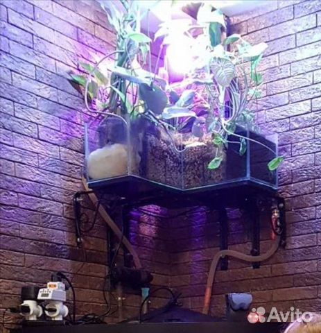 Угловой фитофильтр