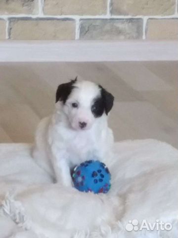 Пуховый мальчик