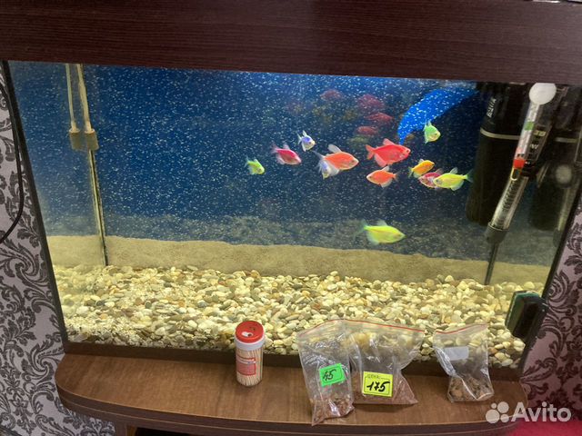 Аквариум