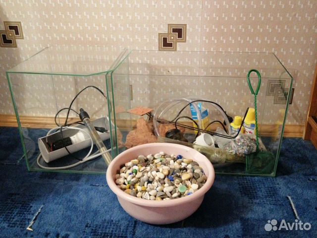 Аквариумы 20 и 40 литров + аксессуары
