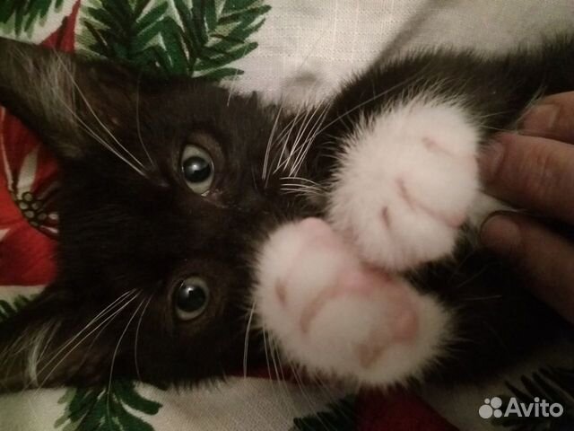 Маленький Захарка ждет маму