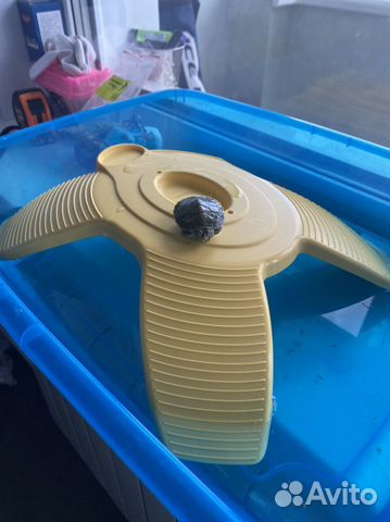 Красноухая черепаха с бассейном