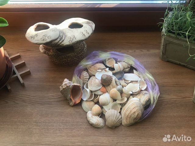 Декор для аквы грот ракушки