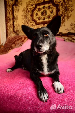 Красотка Мери