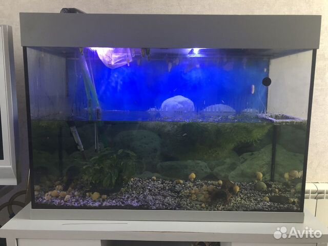Аквариум