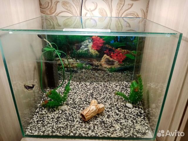 Аквариум
