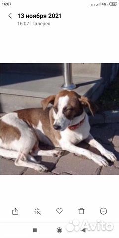 Найдена где Чкаловский рынок