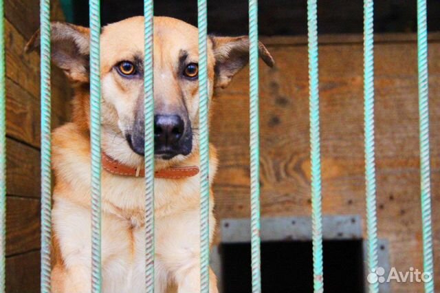 Меня предали