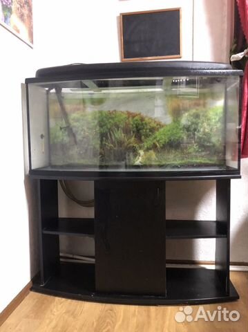 Аквариум 200 литров с тумбой