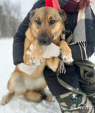 Спасите меня От холода, одиночества и голода