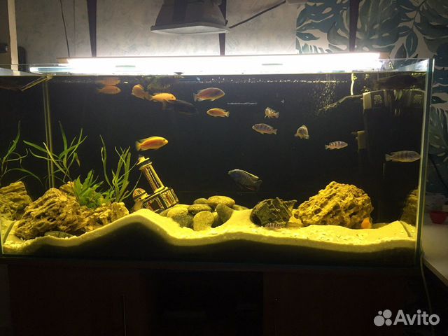 Крымский песчаник