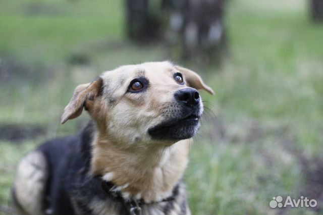 Девочка рада попасть домой