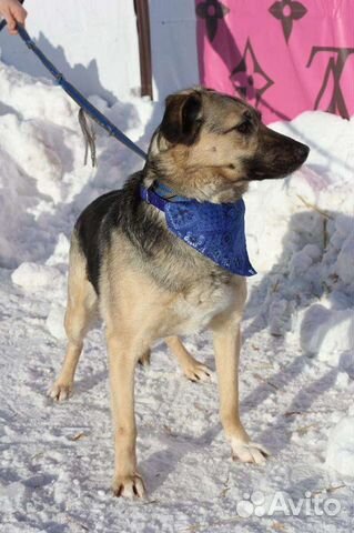 Октавия ищет дом