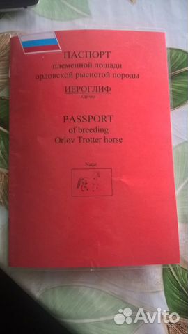 Жеребец орловский рысак