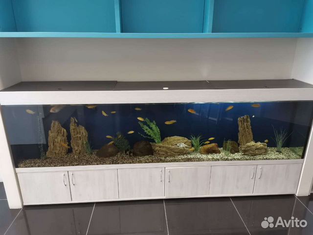 Аквариум с тумбой 500 литров