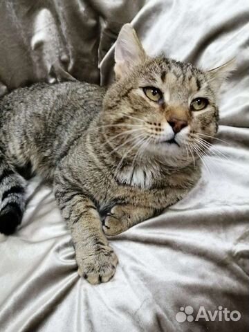 Европейская