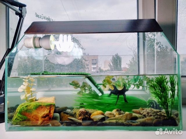 Аквариум черепашник