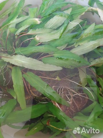 Аквариум с тумбой