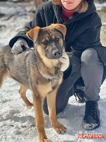 Берта красавица