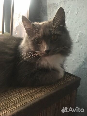 Принцесса Будур