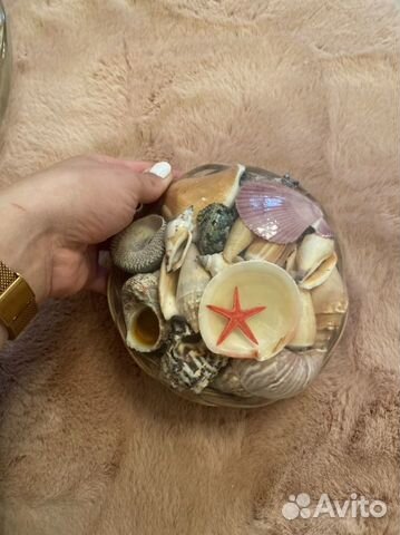 Морские ракушки раковины