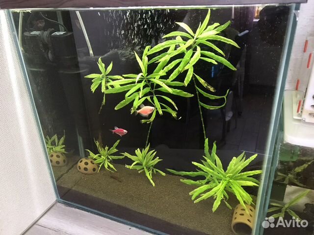 Аквариум 40л с крышкой и ковриком