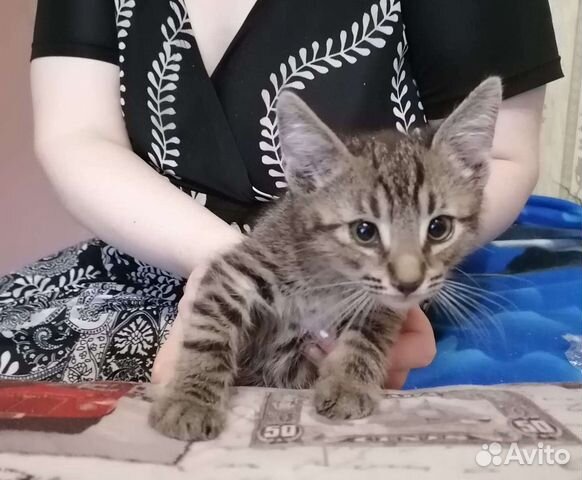Малыш 2 месяца мальчик