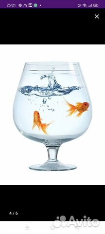 Аквариум рюмка бокал