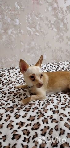 Мужчина красавец