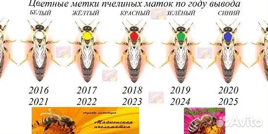 Пчеломатки на 2022