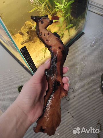Коряга для аквариума мангровая